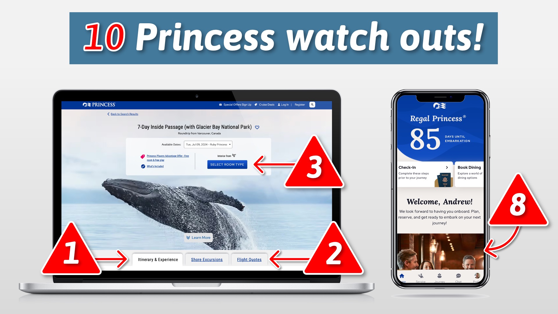 10 watch outs when you’re planning a Princess cruise – The Chill Cruiser